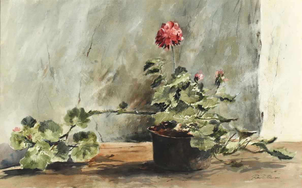 Geranium by Ray Ellis - North Water Gallery