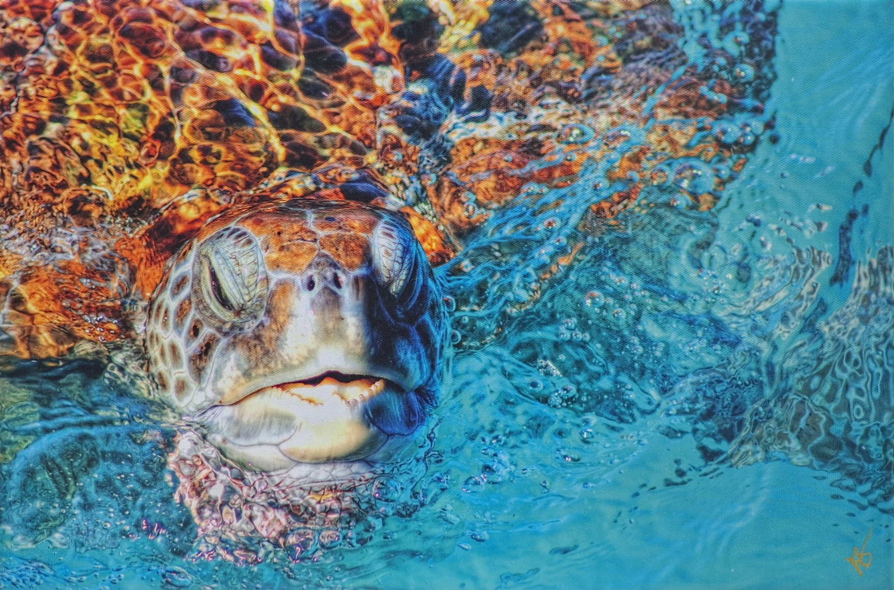 Smiling Turtle by Ahmad Rasheed Boodhoo