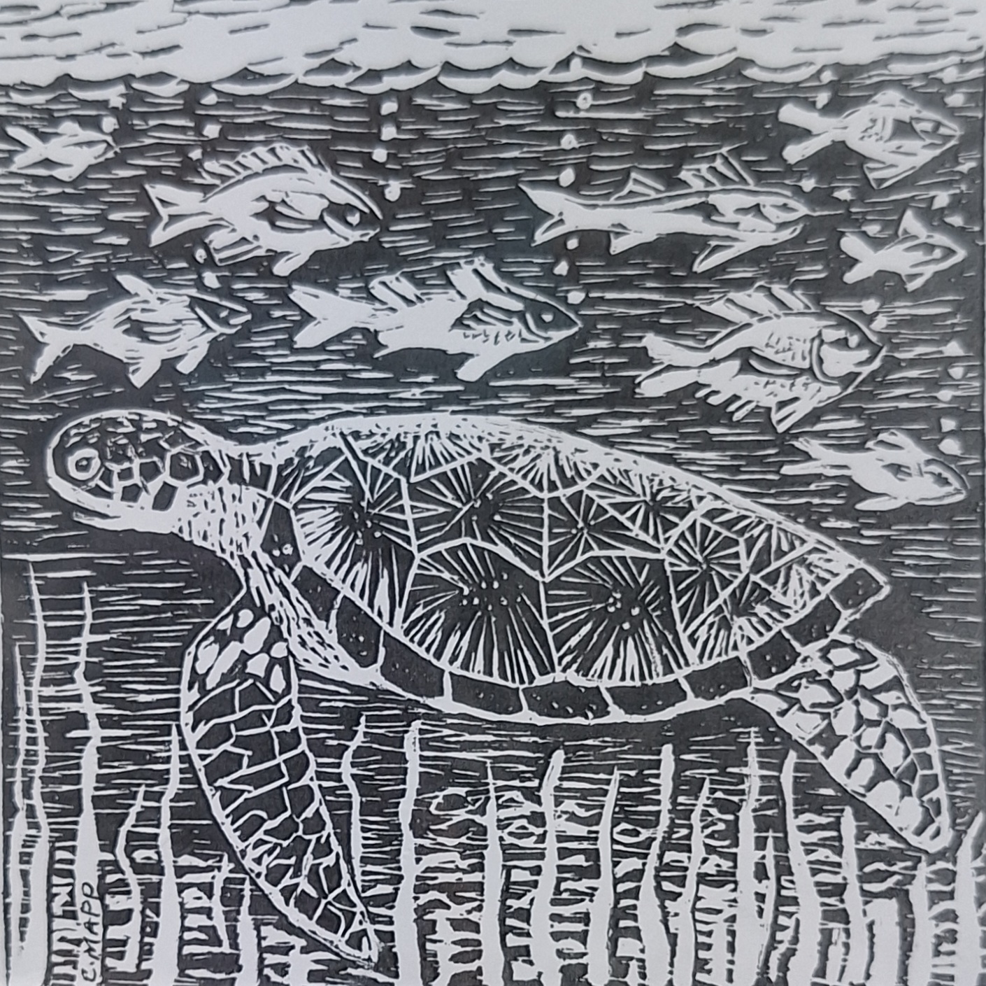 Gallery of Caribbean Art - Caribbean Artists