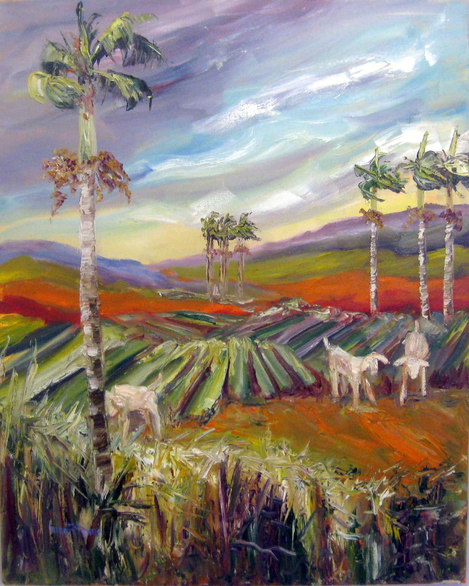 Susan Mains Portfolio