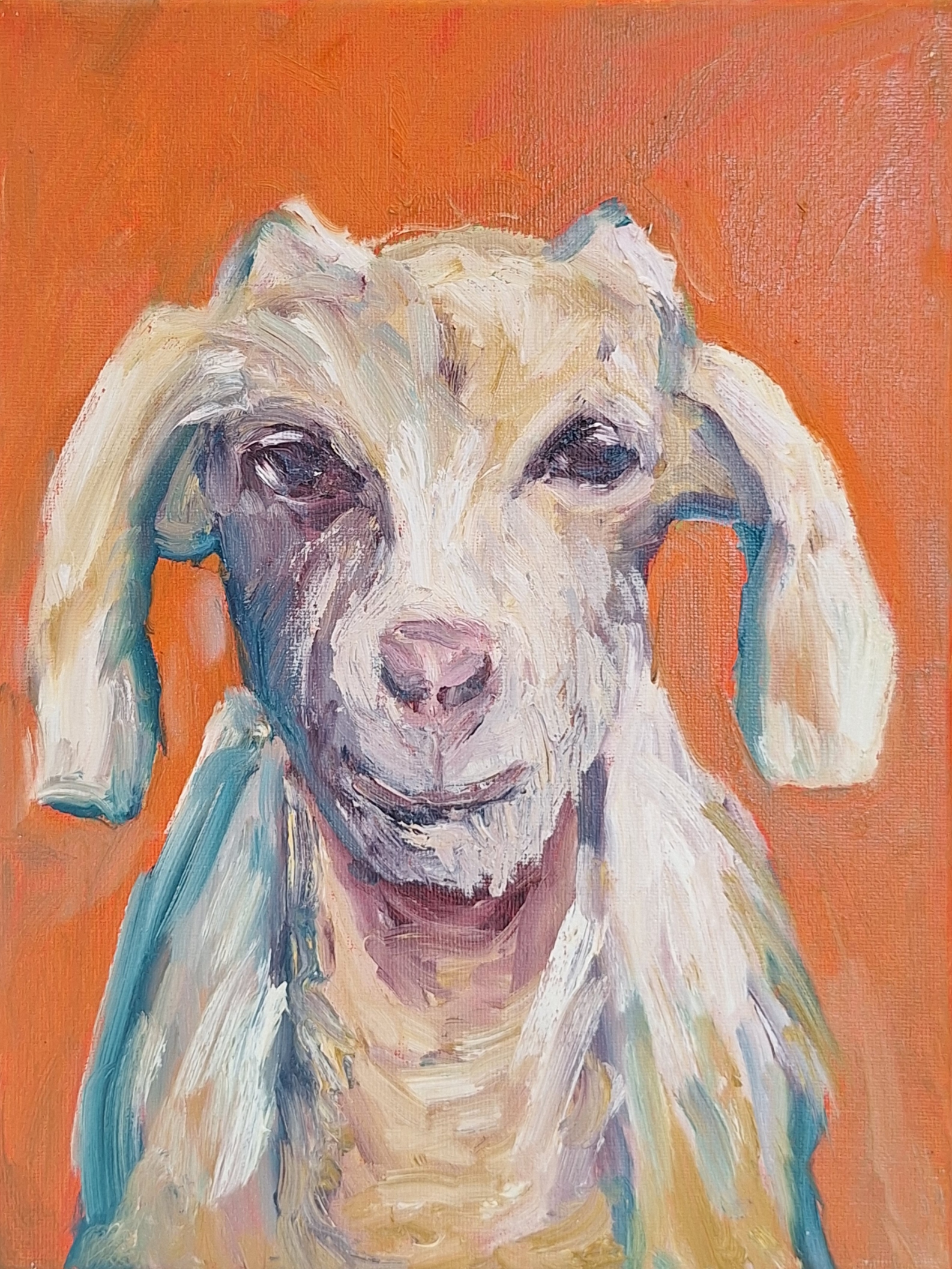 #6 baa Claude by Susan Mains