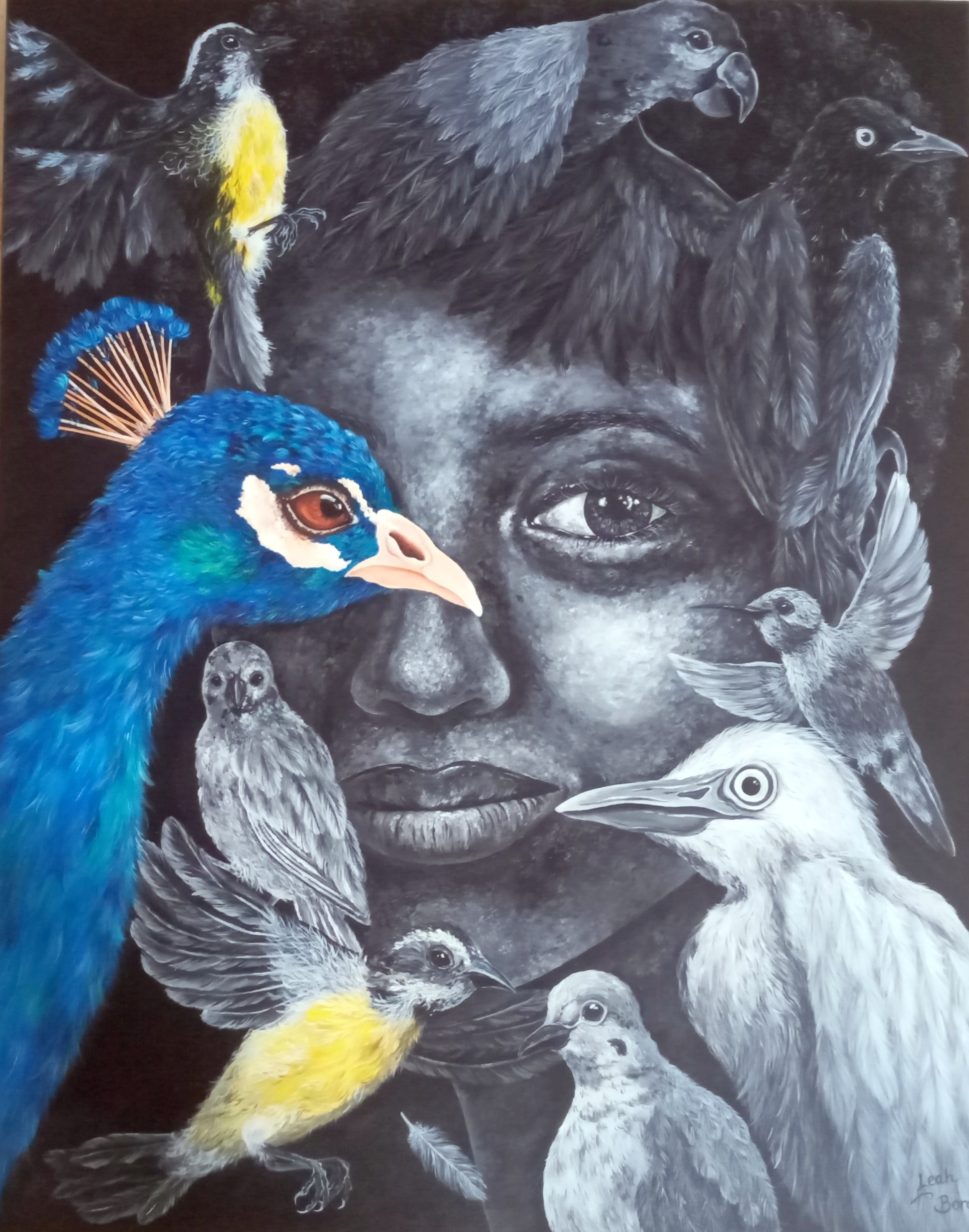 Gallery of Caribbean Art - Caribbean Artists