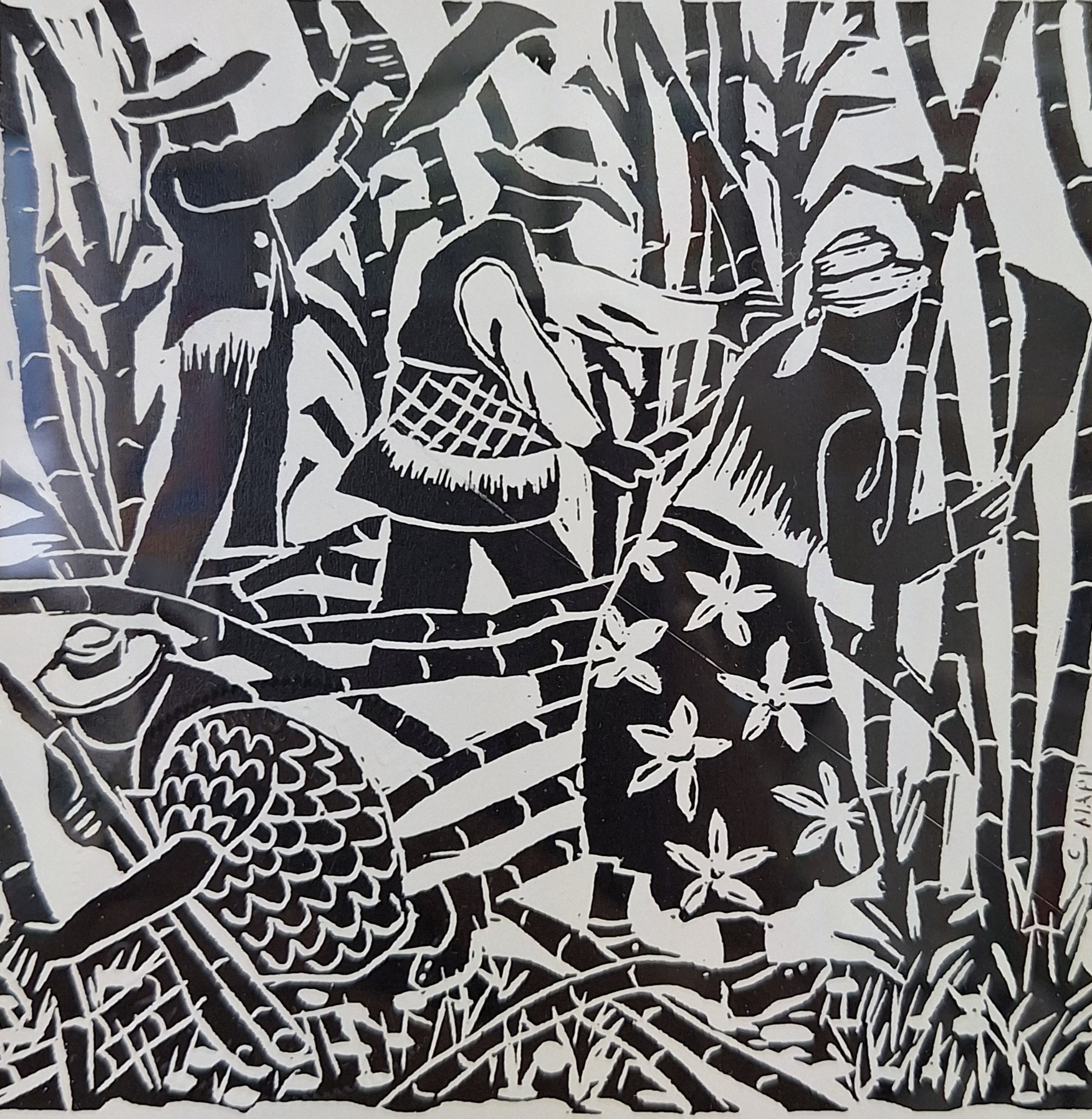 Clairmonte Mapp Portfolio