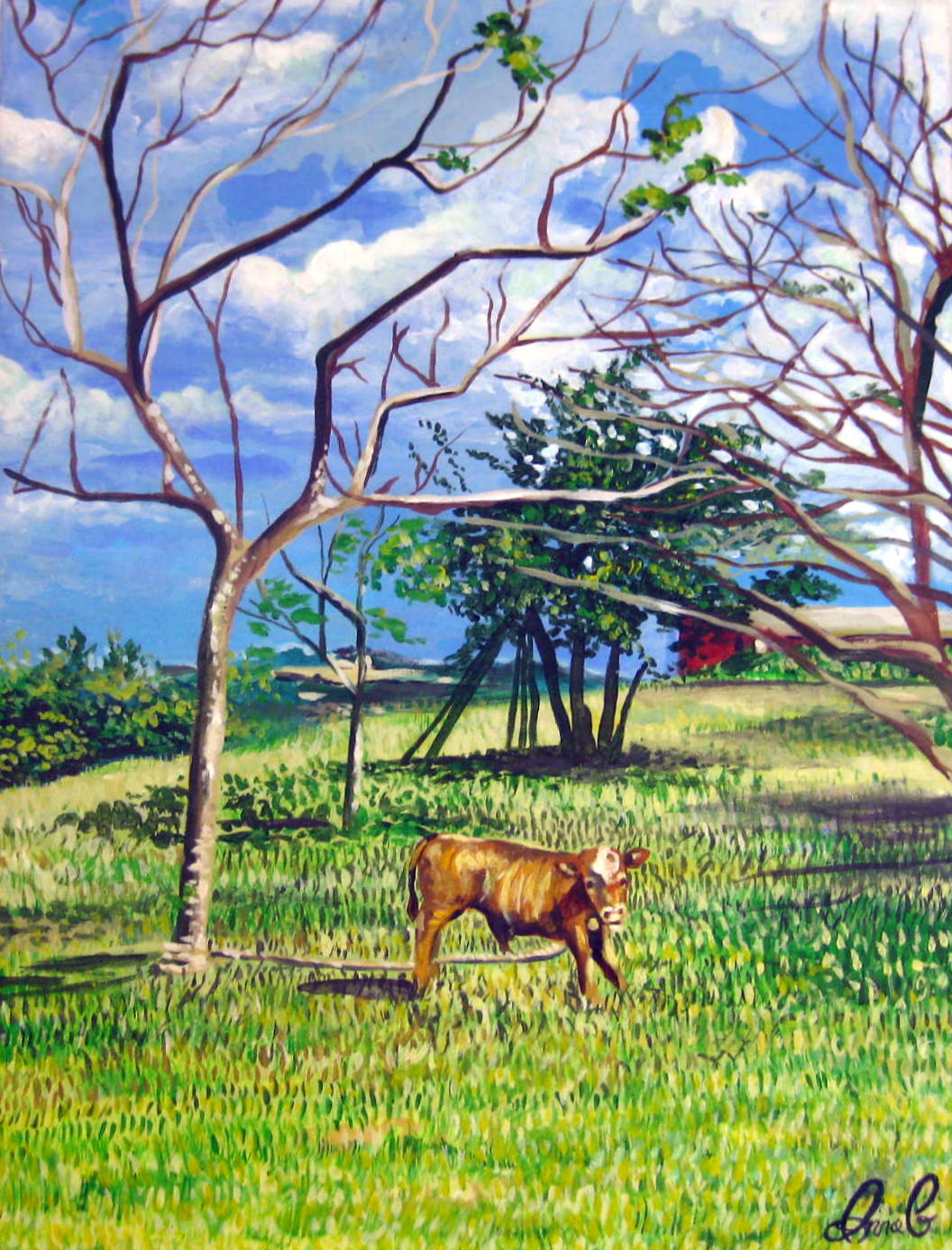 Anna Greenidge Portfolio