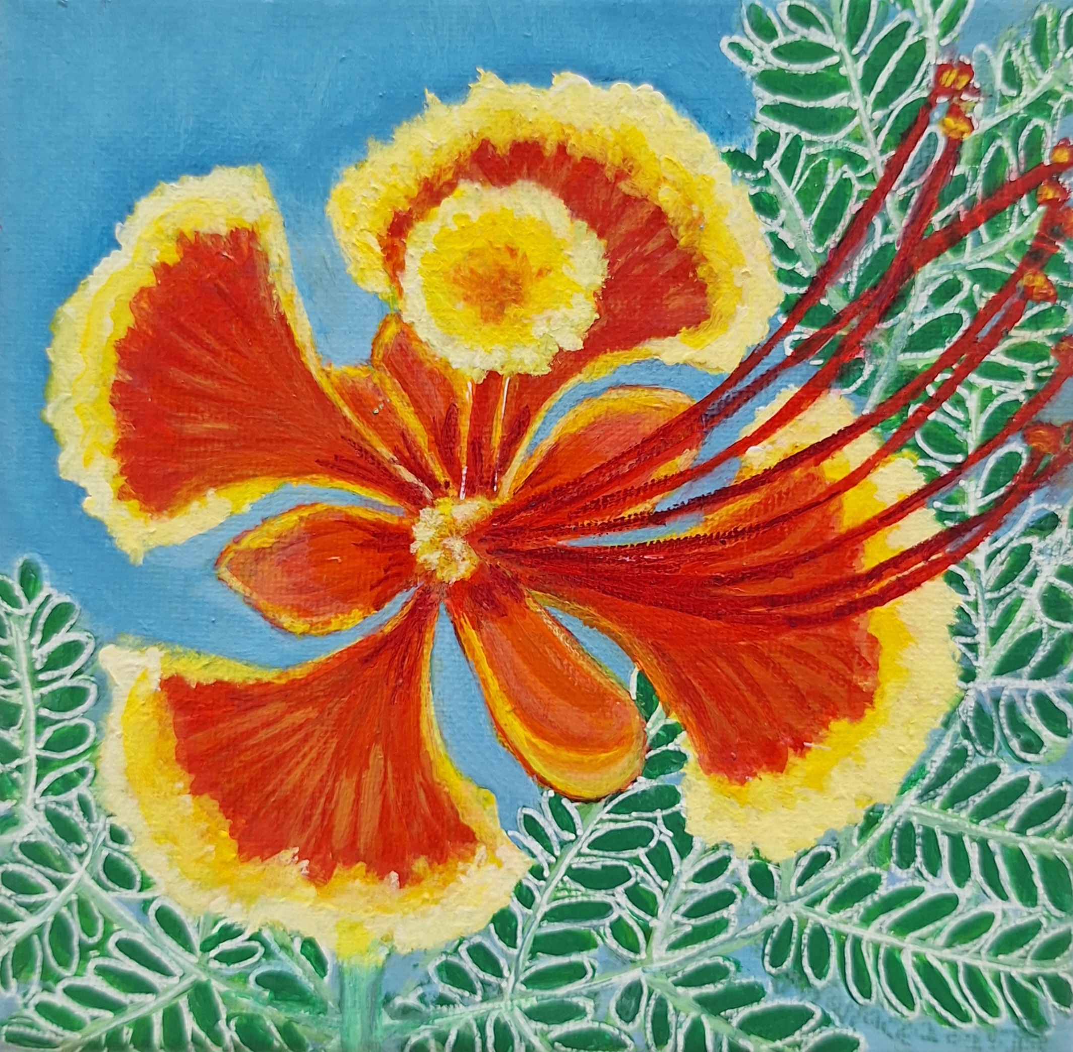 Joy Wallace Portfolio