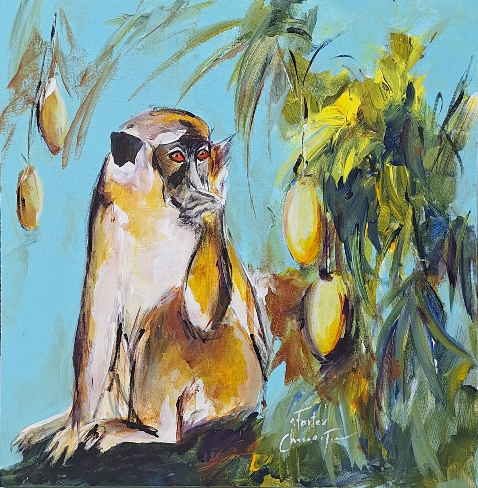 Catherine Forter-Chee-A-Tow Portfolio